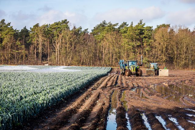 Opinie | Geef de regie bij de Voedseltop aan de boeren, bij hen zit de ...