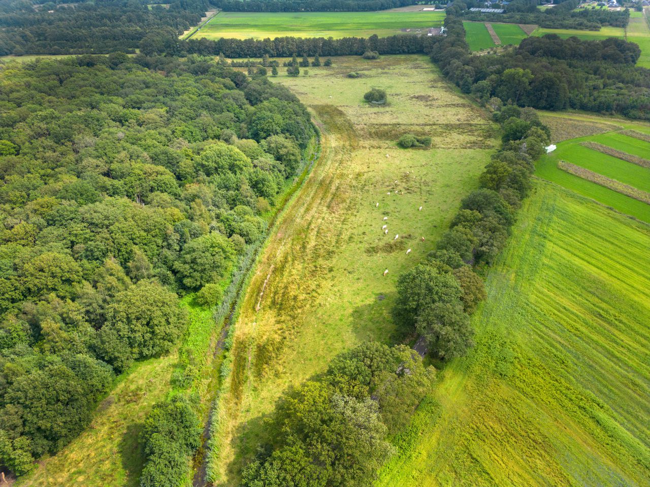 Het landschap moet de komende 25 jaar ‘ongekend veranderen’: véél meer ...