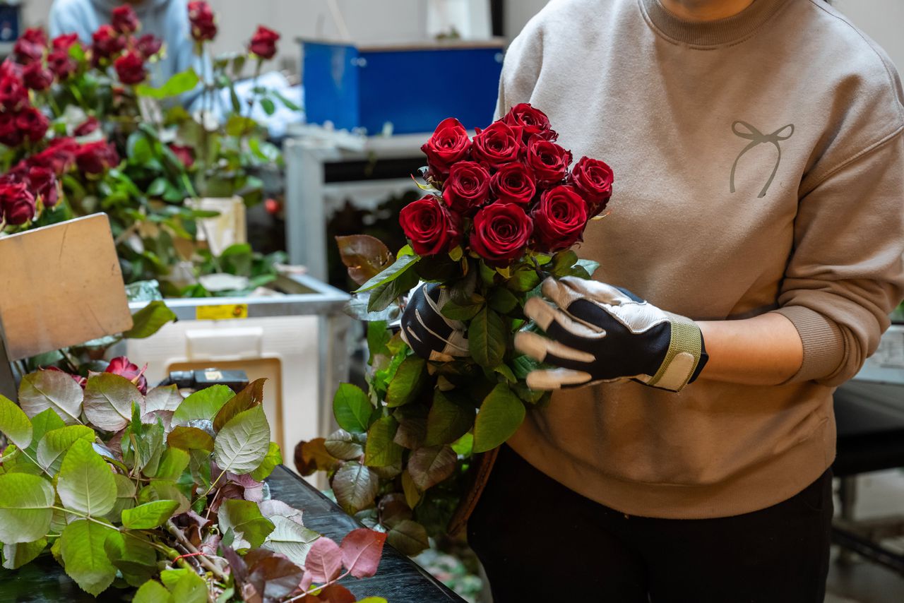 De milieuvriendelijke roos mag een paar euro per steel kosten - NRC