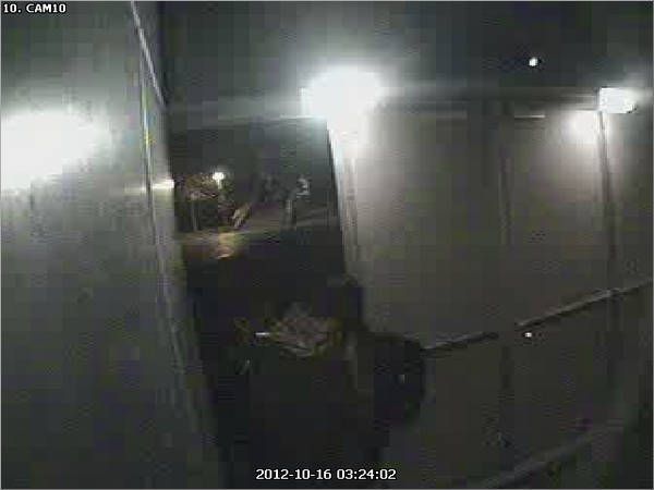 Foto’s en video van daders kunstroof - maar er is weinig op te zien - NRC