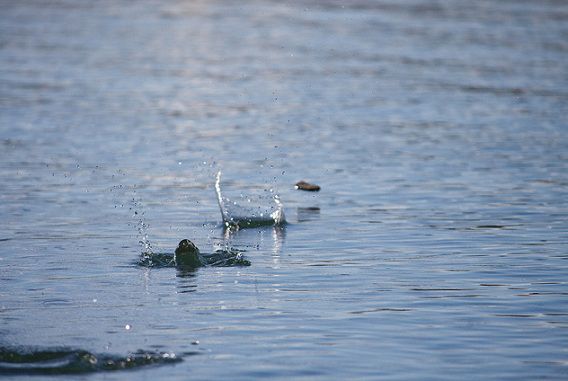 Steentjes keilen, zo doe je dat - NRC
