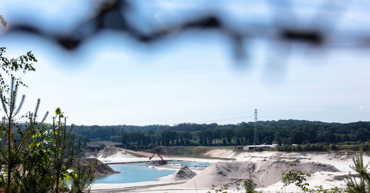 Dwalen over kruimels hei - NRC