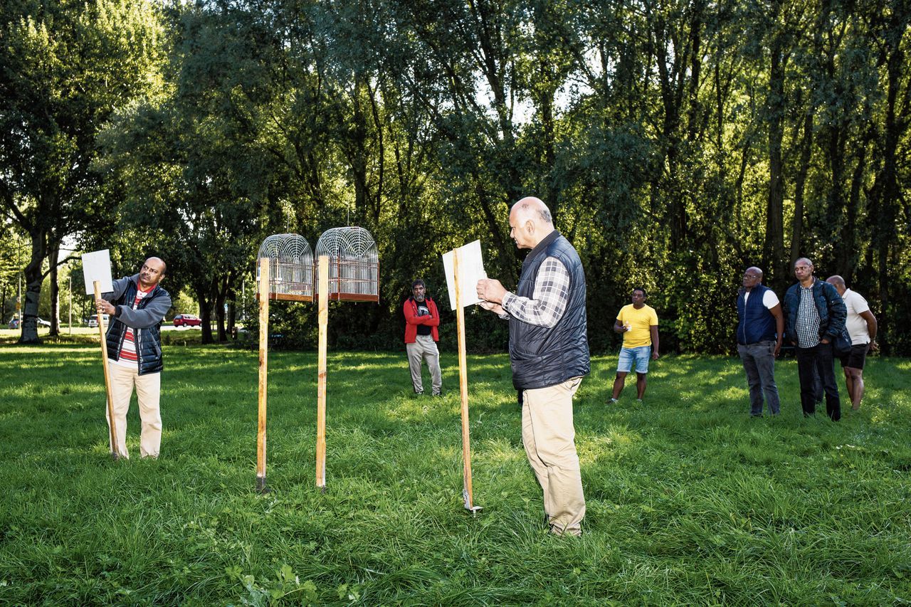 Vrij zijn is...Surinaamse zangvogels tegen elkaar op laten fluiten - NRC