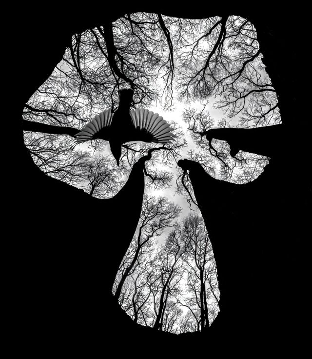 Close-up fotograaf van het jaar: kleine levens die ontroeren en ...