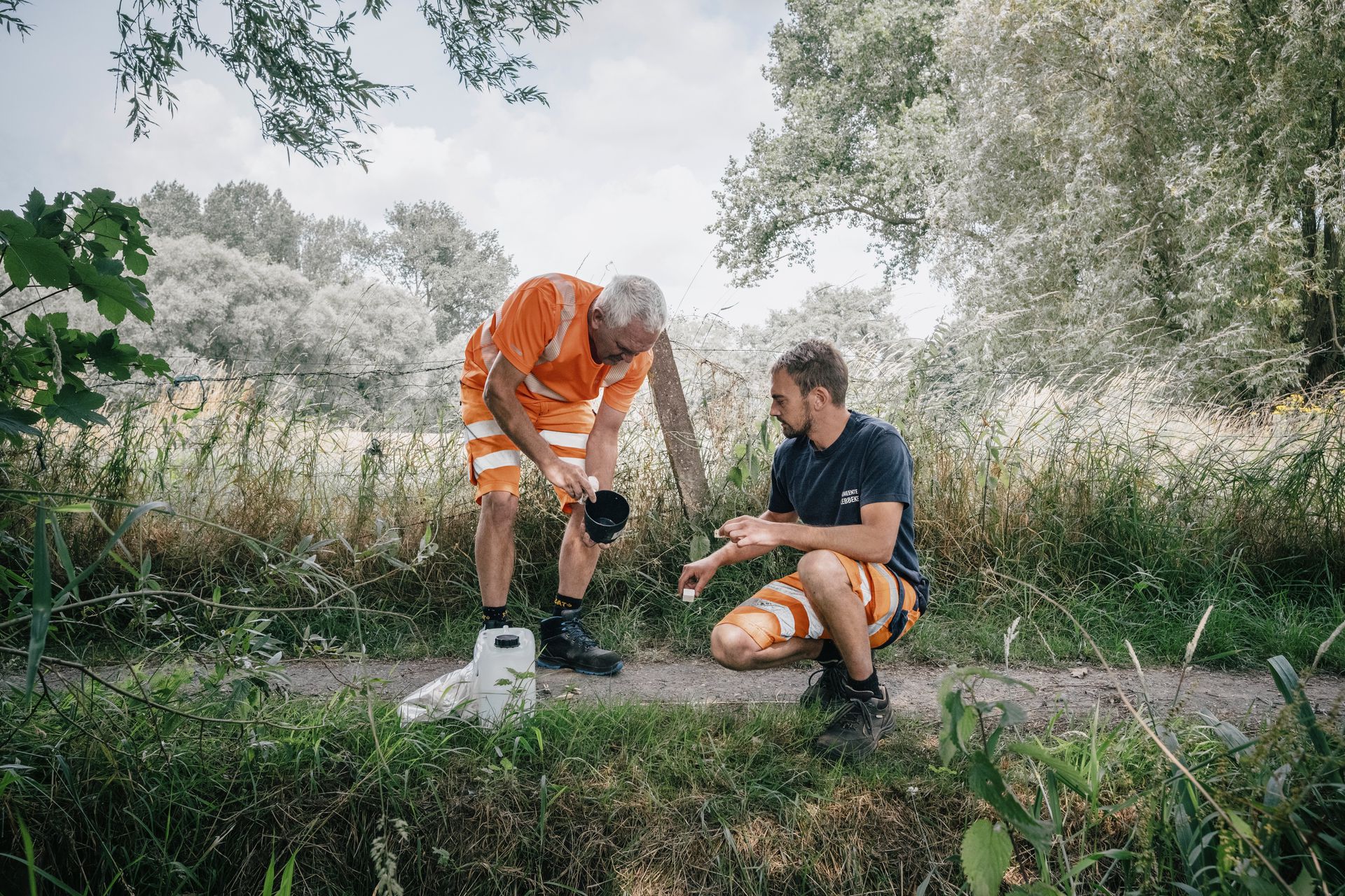 De tijgermug? In het Belgische Lebbeke weten ze er alles van - NRC