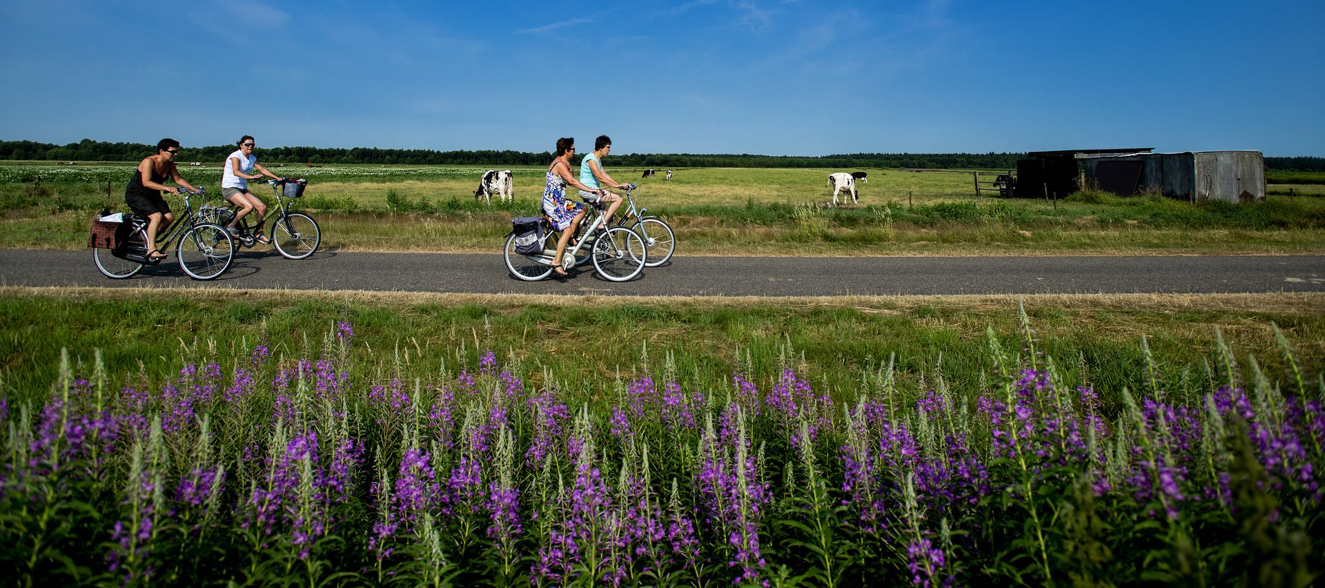 Dit zijn de drukste fietspaden van Nederland - NRC