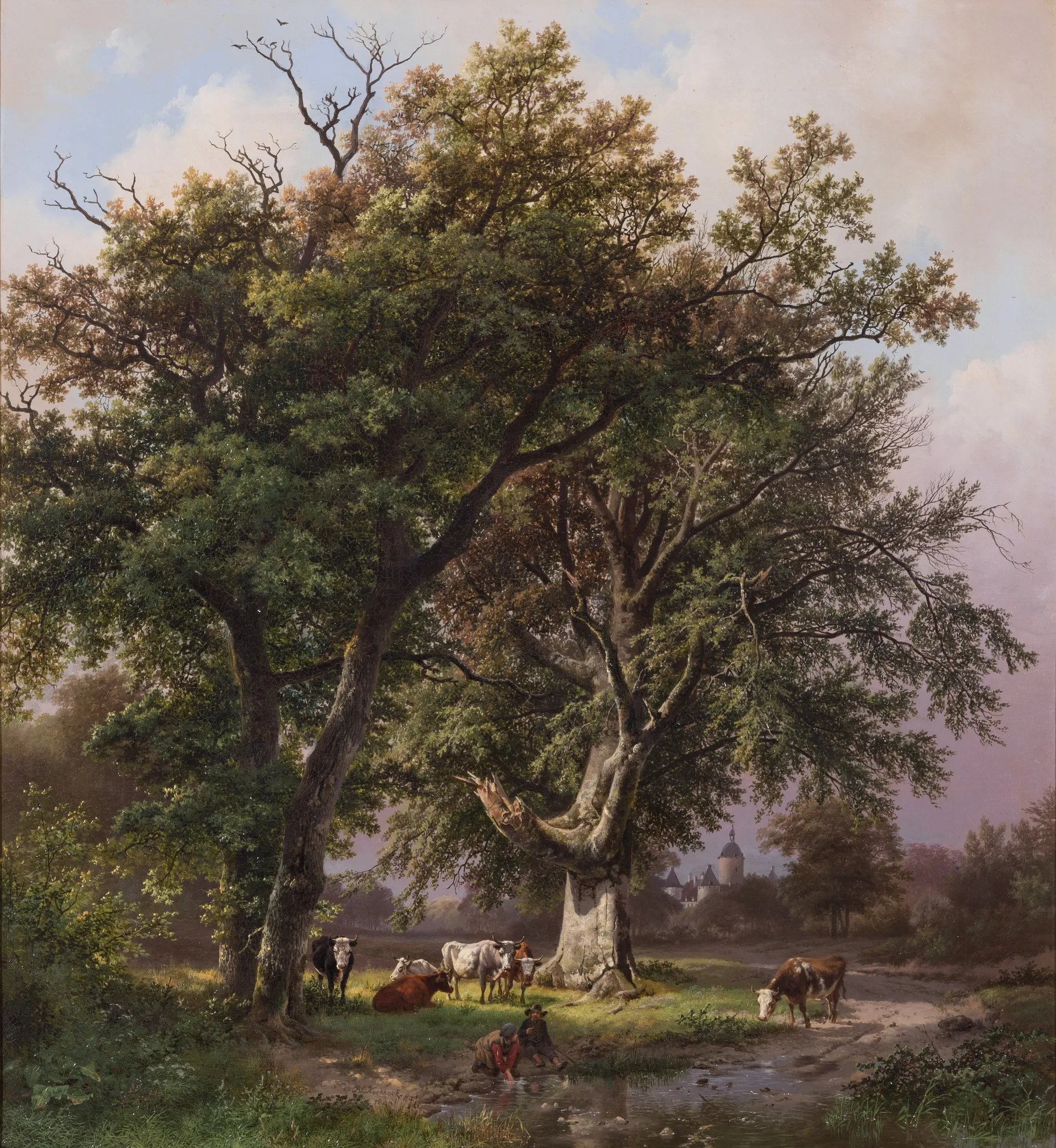 De beuk is de kroon op het werk van het bos - NRC