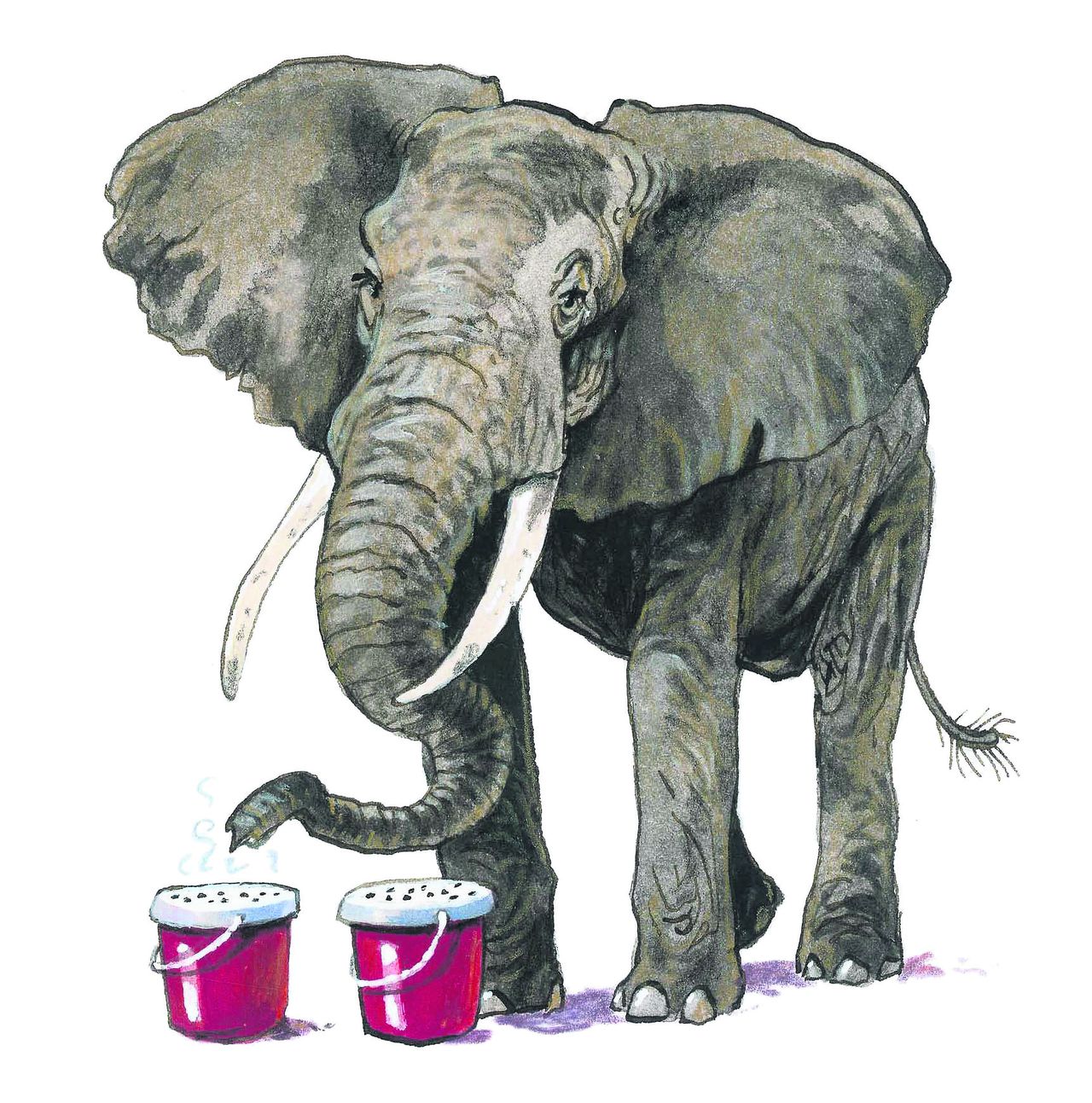 Olifant is slim met zijn slurf - NRC