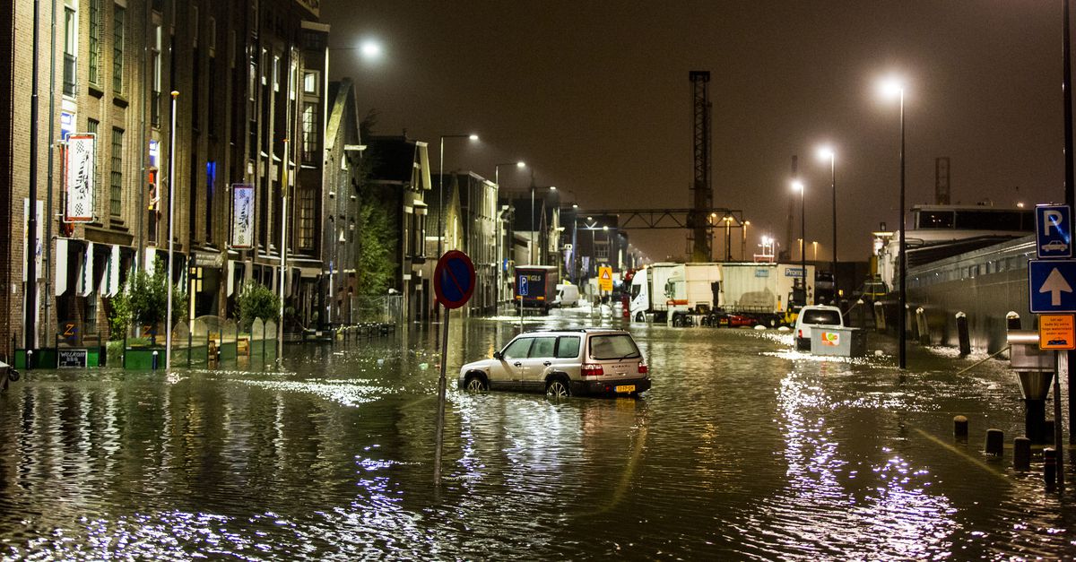 Herfststorm: meeste overlast in Rotterdam, hoogwater in noorden - NRC