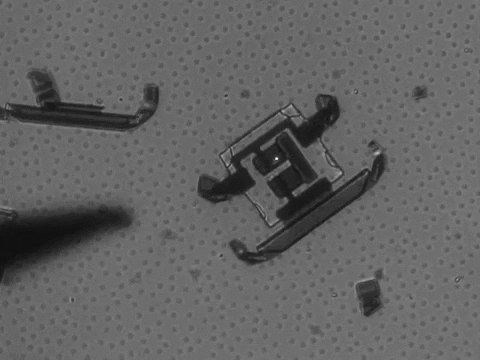 Microrobots met platina pootjes lopen op laserlicht - NRC