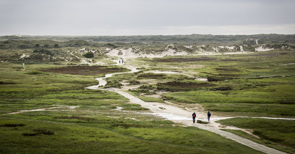 Lonely Planet thinks you should visit this Dutch island - NRC