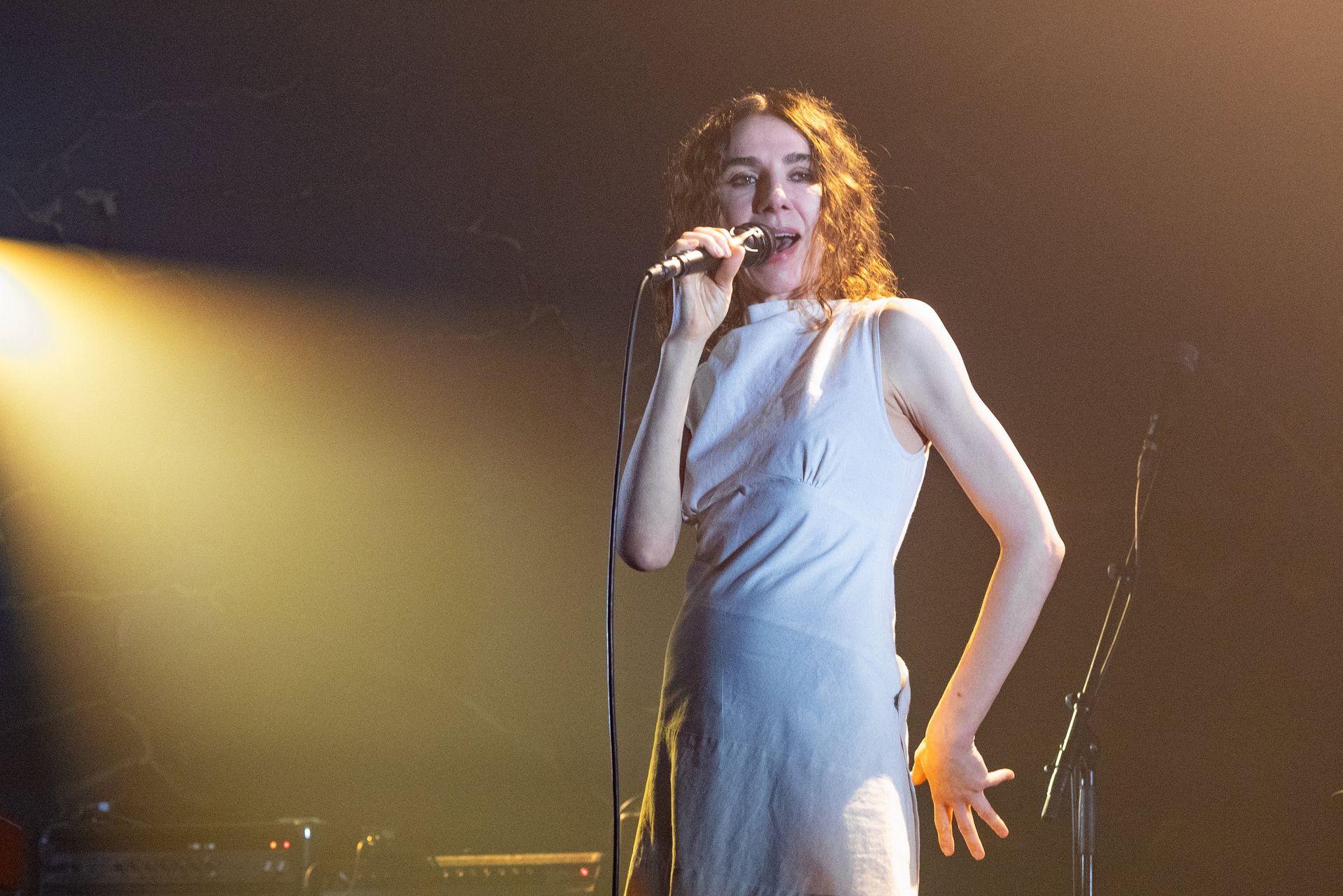 PJ Harvey betovert met huiveringwekkend mooi concert - NRC