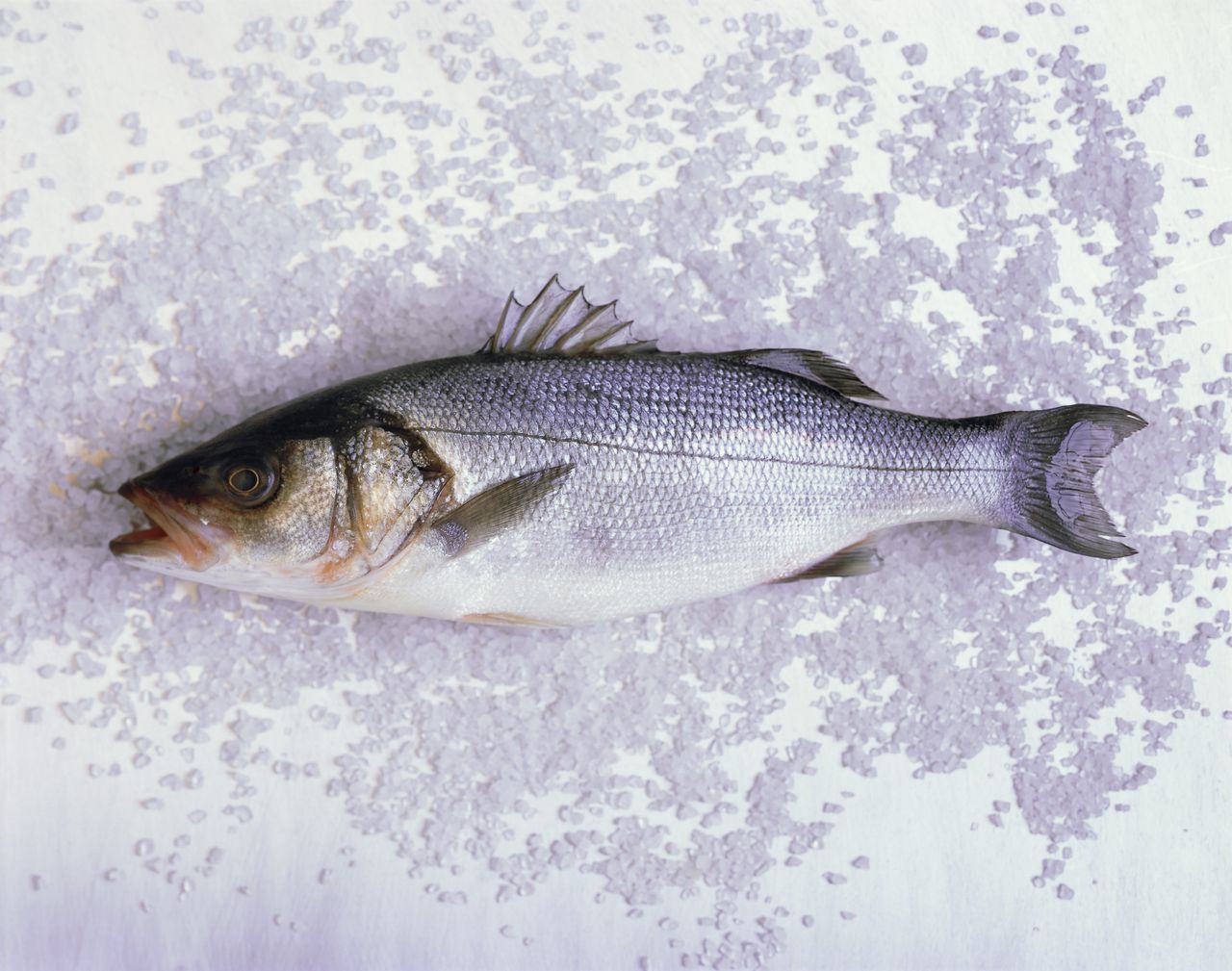 Zeebaars is heerlijk in een zoutkorst - NRC