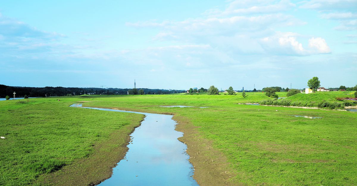 Stuweiland bij Driel, Gelderland - NRC