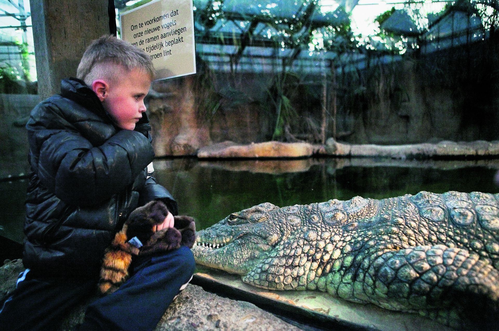 Het onbekende dier krijgt het moeilijk in Blijdorp - NRC