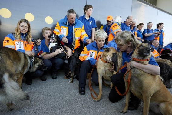 Speurhonden en vrijwilligers vertrekken naar Panama - NRC