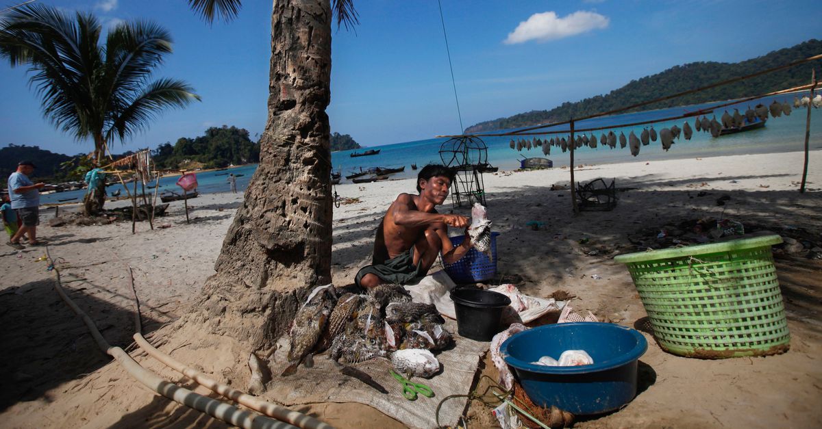 Het leven van de zeenomaden in Myanmar - NRC