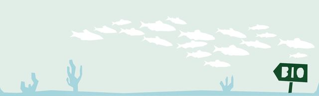 ‘Wild gevangen vis kan nooit biologisch zijn’ - NRC