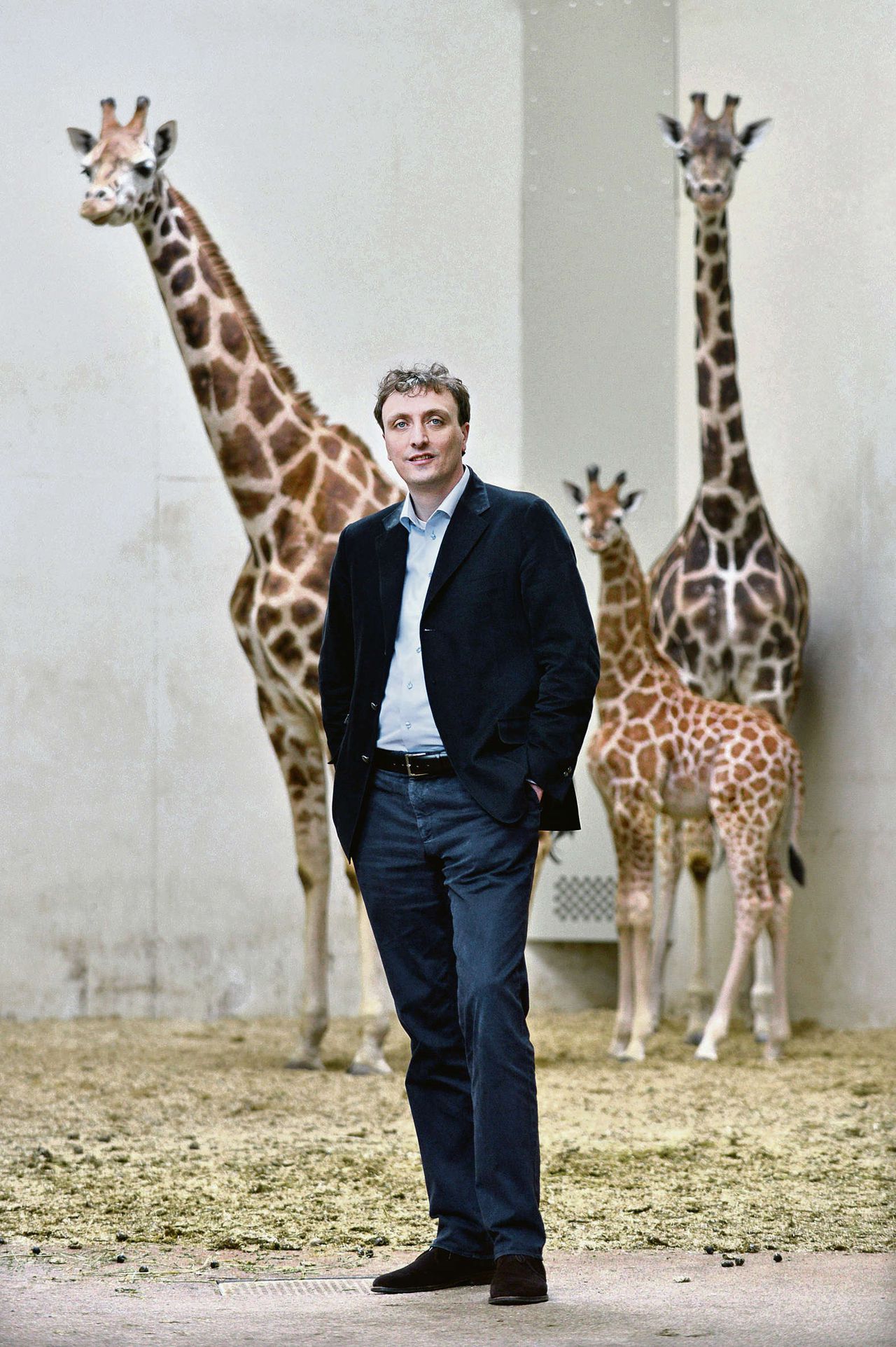 Zo vervoer je een giraffe - NRC