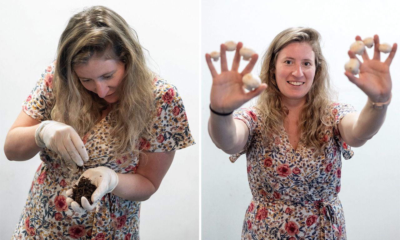 Brigit van Brenk ontdekte hoe champignons het drinkwaterbedrijf kunnen ...