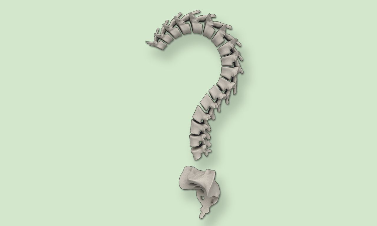 Waarom groeien veel ouderen in een bochel? - NRC