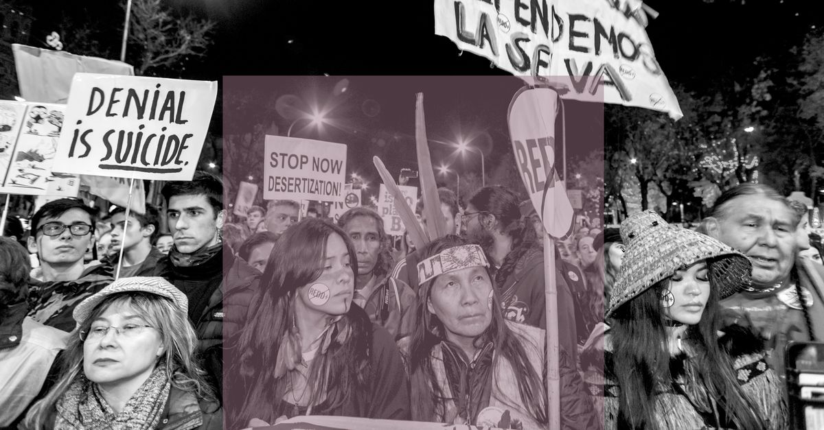 Opinie | ‘Mensen kunnen de natuur ook versterken, veel inheemse ...