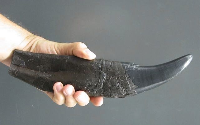 Bokep meli 3gp honestly, it is what it is and it’s not the