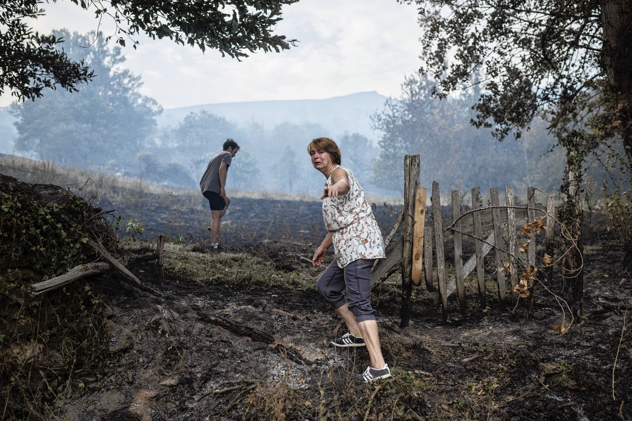 Extreme temperaturen in Europa: van code oranje tot hitte-apocalyps - NRC