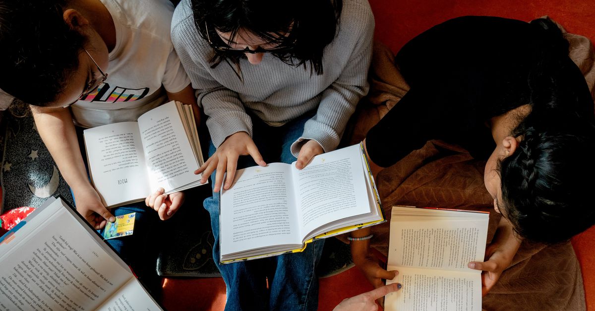 Waarom kijkt CBS nog naar het geboorteland van ouders? ‘Het doet geen ...