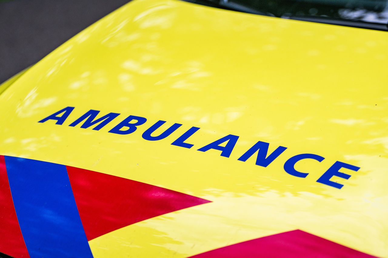 Drie doden, onder wie twee kinderen, bij ongeluk met spookrijder op A1 - NRC