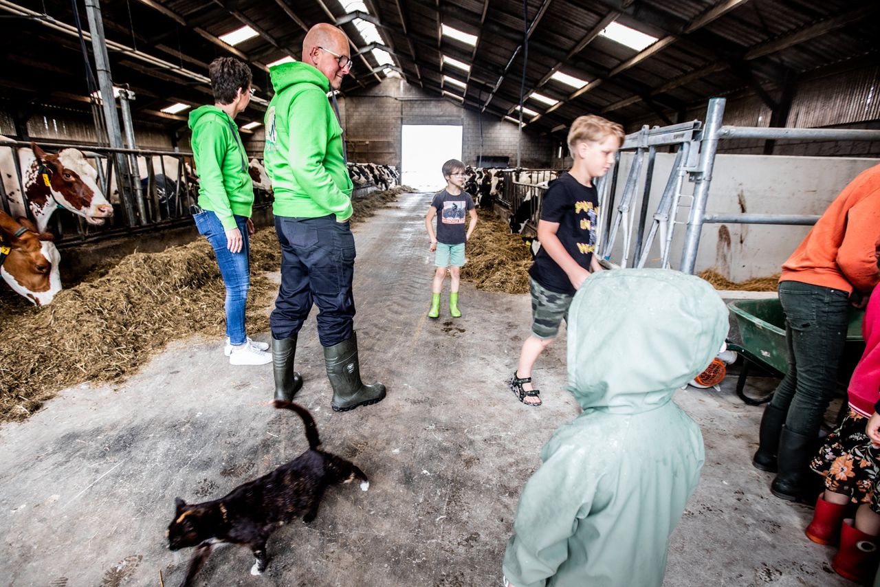 Op de agrarische kinderopvang is iedereen de hele dag buiten - NRC