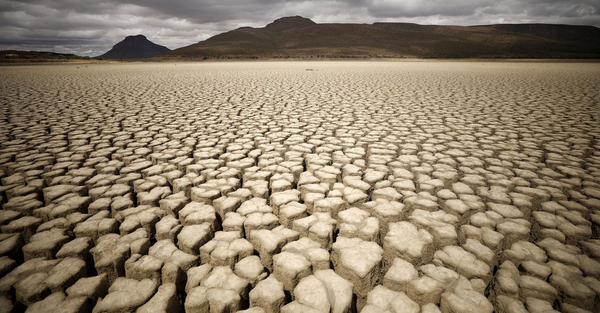 De extreme droogte in de Karoo, Zuid-Afrika - NRC