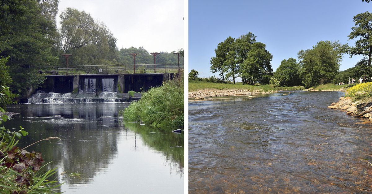 Dammen onderbreken massaal Europese rivieren - NRC