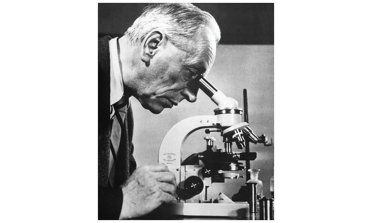 Microscopenfeest door de hele provincie Groningen - NRC