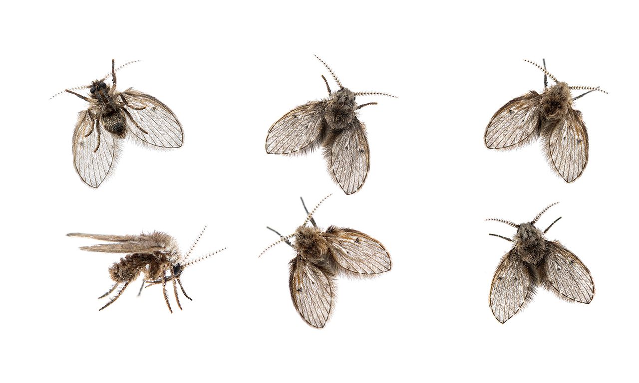 Deze boeken over insecten laten zien welke spannende dingen er in je ...