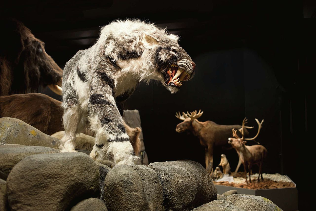 Neanderthalers Uitgestorven