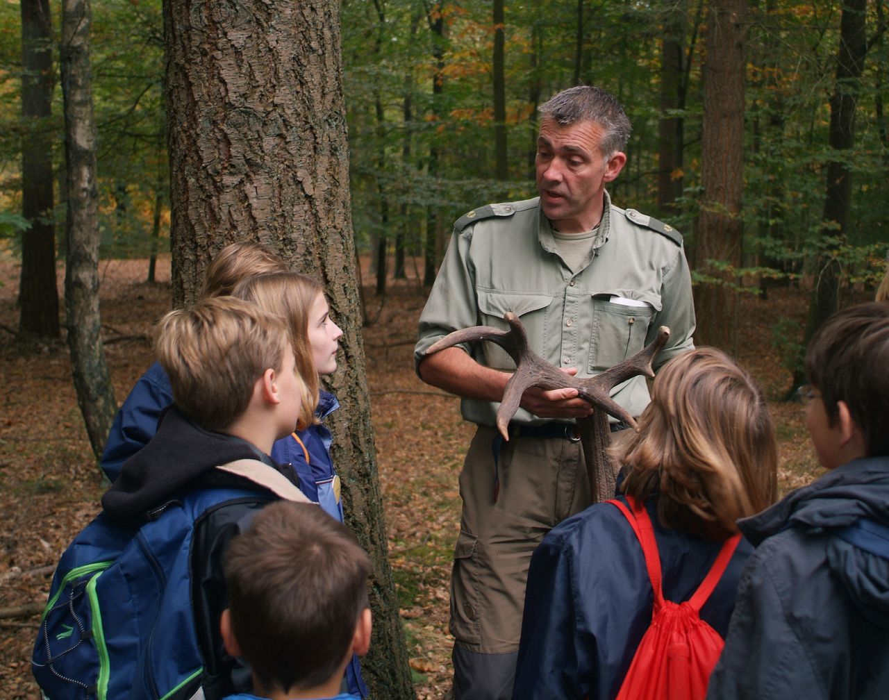 Op safari met de boswachter - NRC