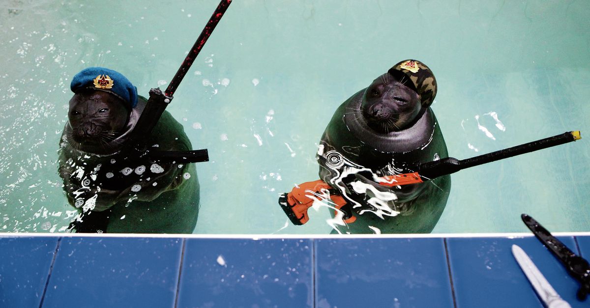 Russische navy seals - NRC