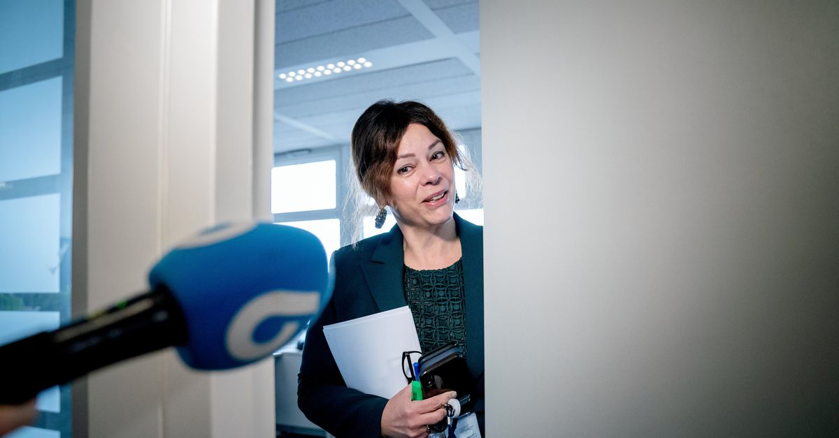 NSC draagt Sandra Palmen voor als nieuwe staatssecretaris Toeslagen - NRC