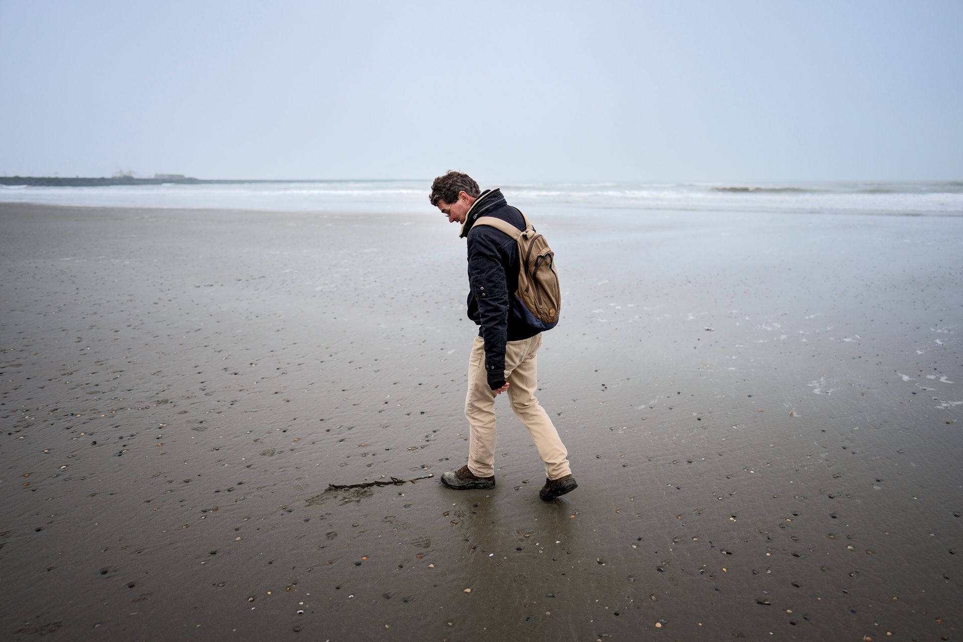 Schelpen jutten: meditatief struinen langs de kust - NRC