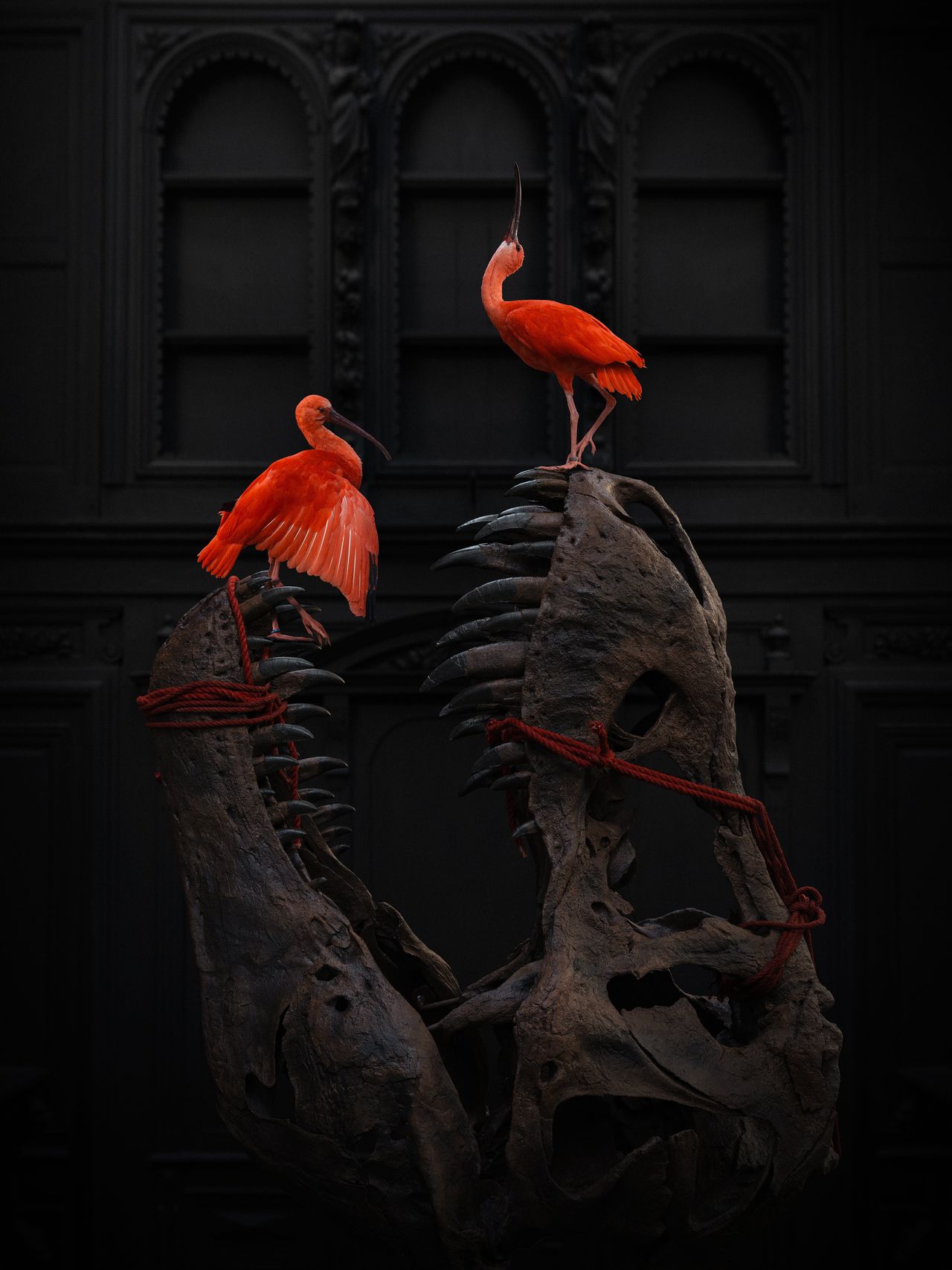 Een dierentuin voor de eeuwigheid: het Art Zoo museum in Amsterdam laat ...