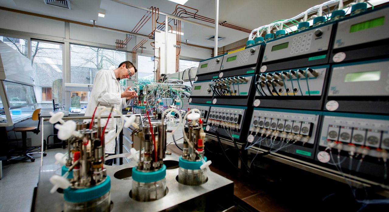 Diervoeding aan basis flinke omzetgroei DSM - NRC