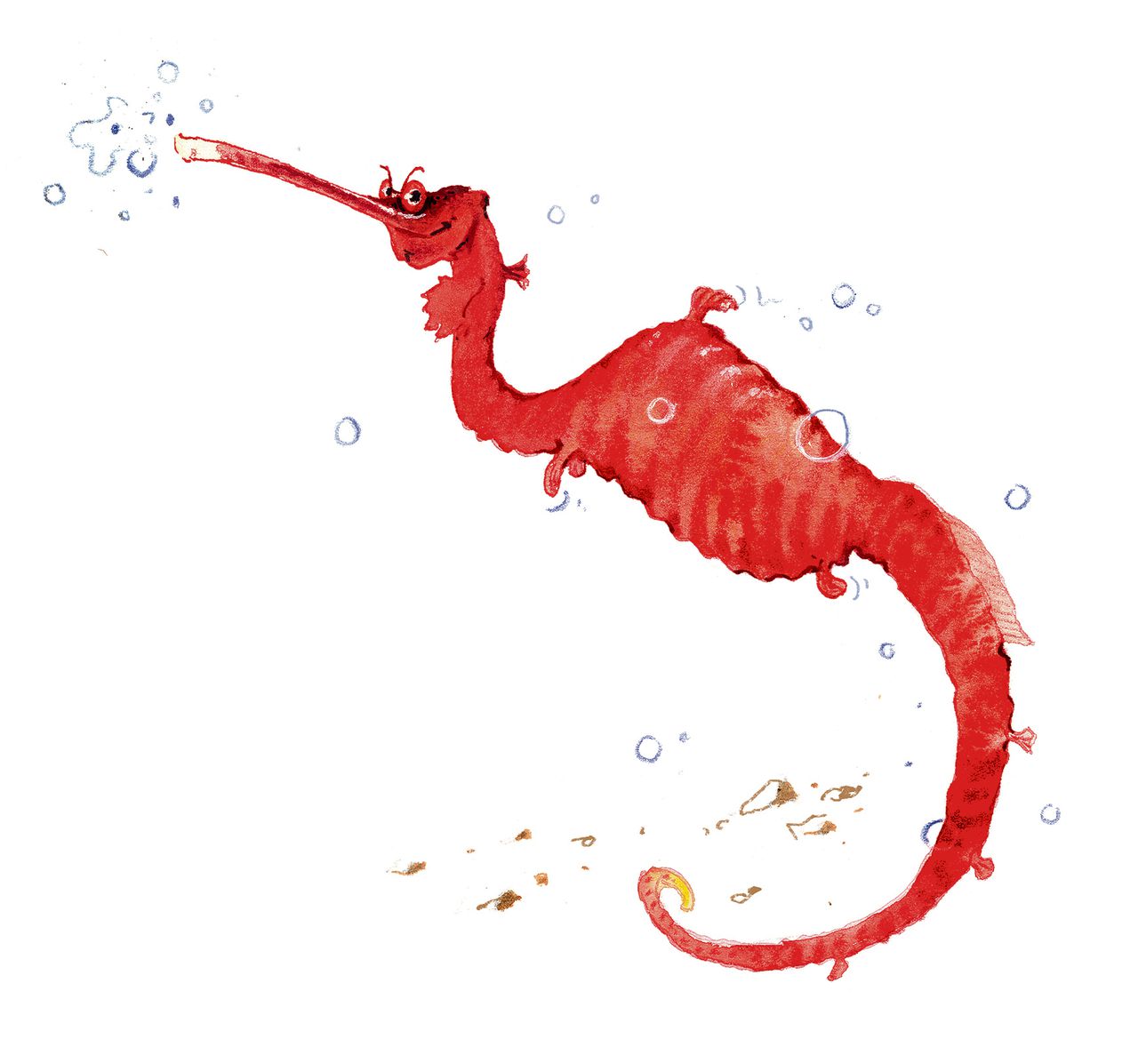 Rode zeedraak verbergt zich in donkere diepte - NRC