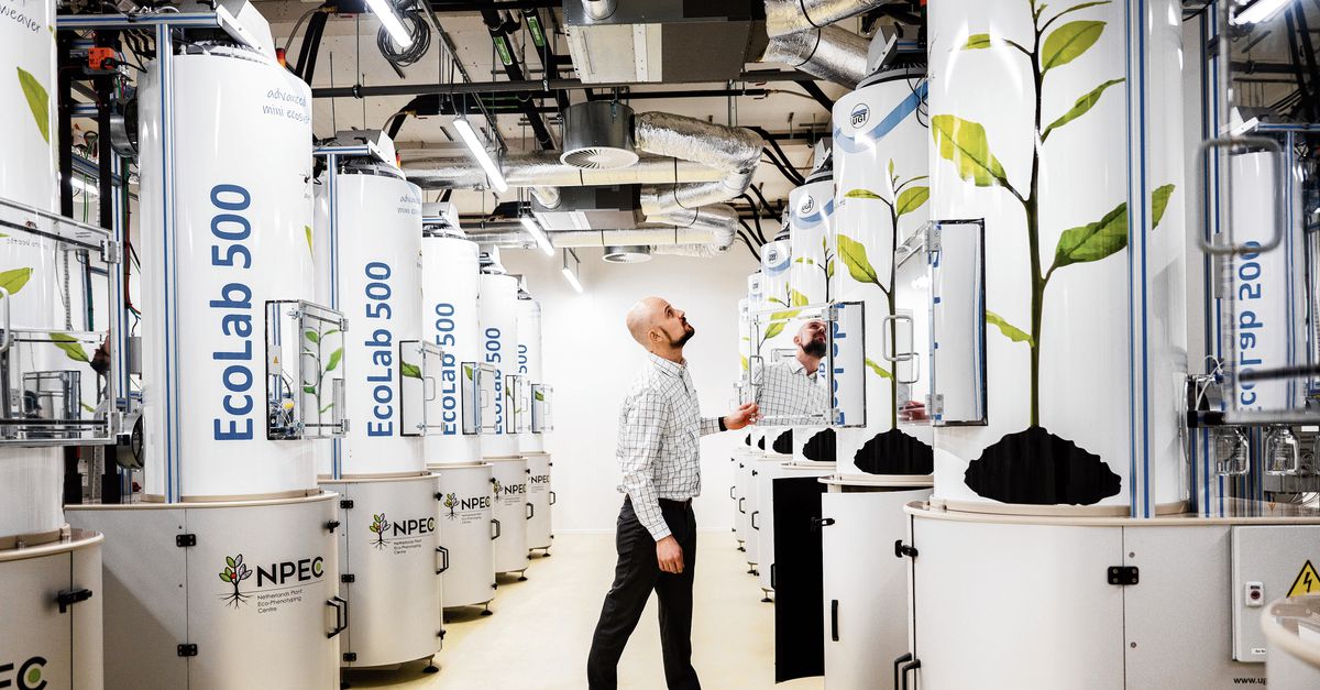In een Utrechts lab kunnen ze draaien aan elke knop van een ecosysteem ...