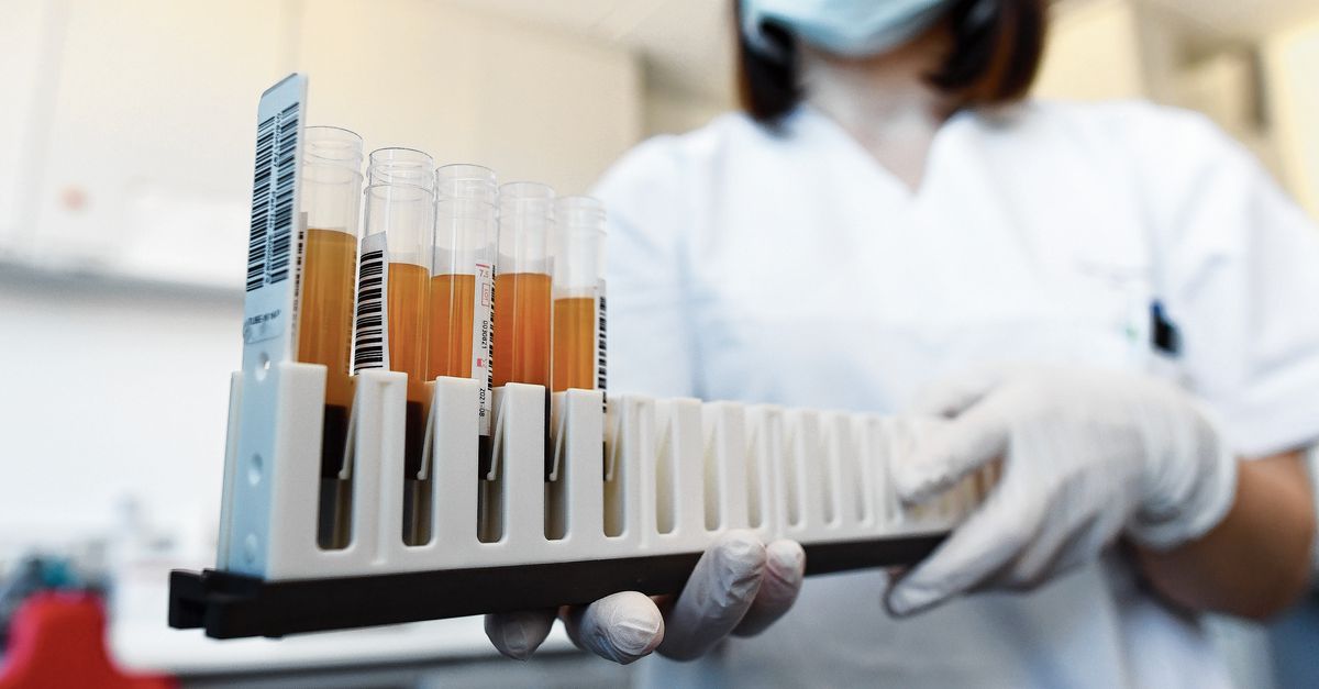 Bloedplasma kan Covid-19-patiënt helpen - NRC