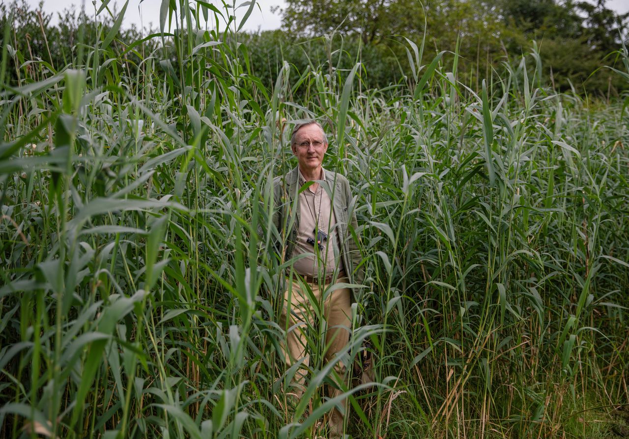 Museumbioloog Kees Moeliker wil ooit nog wat doen met ‘die Blokker-kraaien’ op balkons: ‘Dit is ...