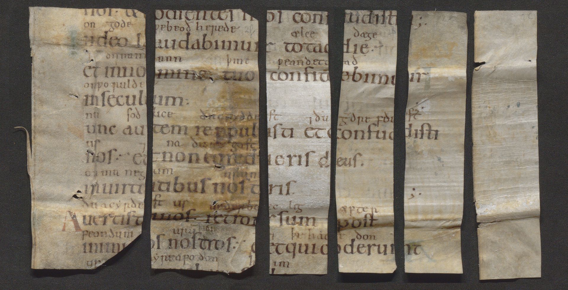 Dit duizend jaar oude manuscript werd ooit aan stukken gesneden door ...