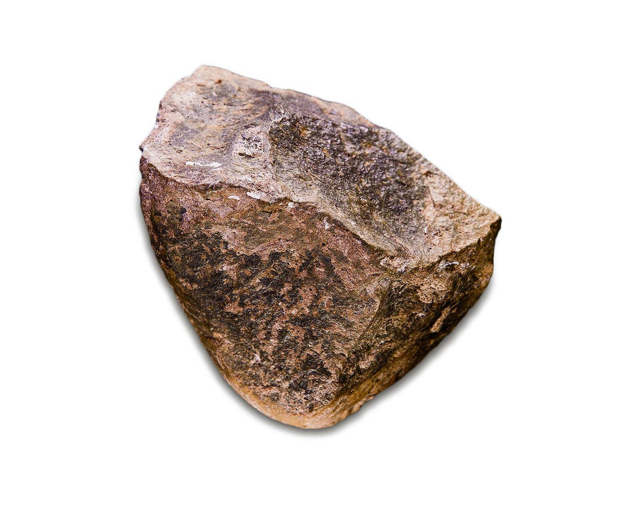 Taal begon met het op elkaar slaan van stenen - NRC