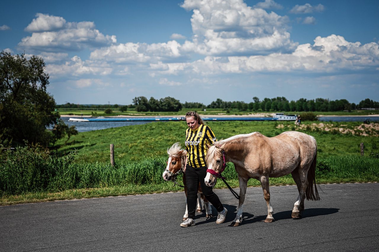 Leven met Vitesse - NRC