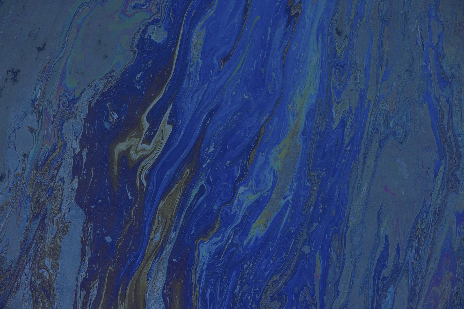 Grote olievlek bij Californische kust zorgt voor milieuramp - NRC